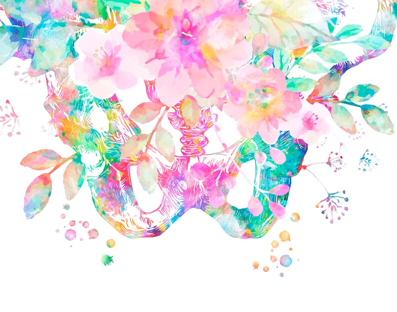 Pelvis and Flowers Watercolor Anatomy Art Pregnant Woman Gift Skeletal ...