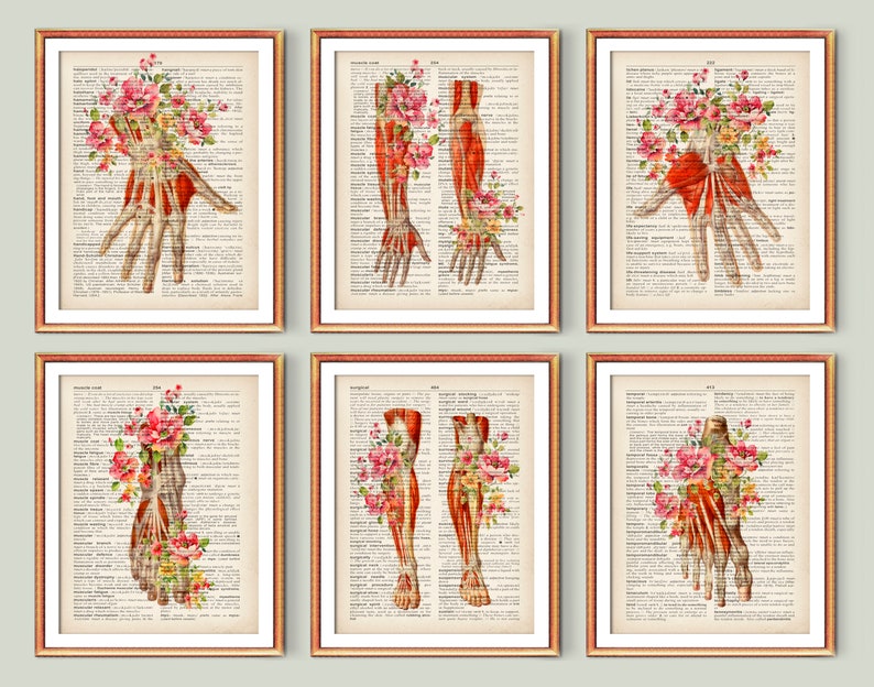 6 Hand Anatomy Foot Anatomy Posters Medical Art Dictionary - Etsy