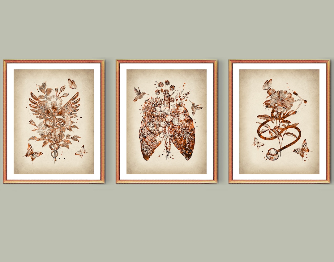 3 Floral Medical Art Vintage Anatomy Artwork Caduceus Art Stethoscope ...