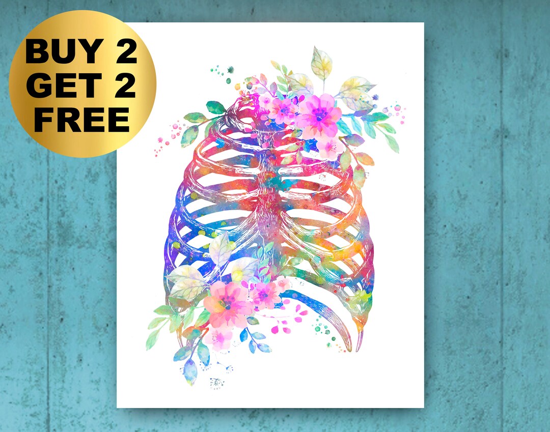 Watercolor Rib Cage Art Thorax Art Skeleton Anatomy Poster Medical Art ...