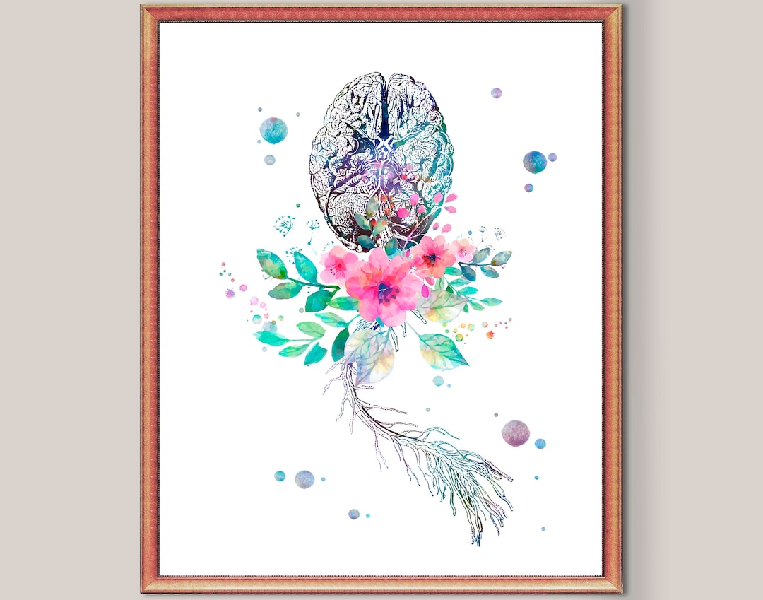 Brain Anatomy Art Spinal Cord Art Nervous System Art Neurology Art ...