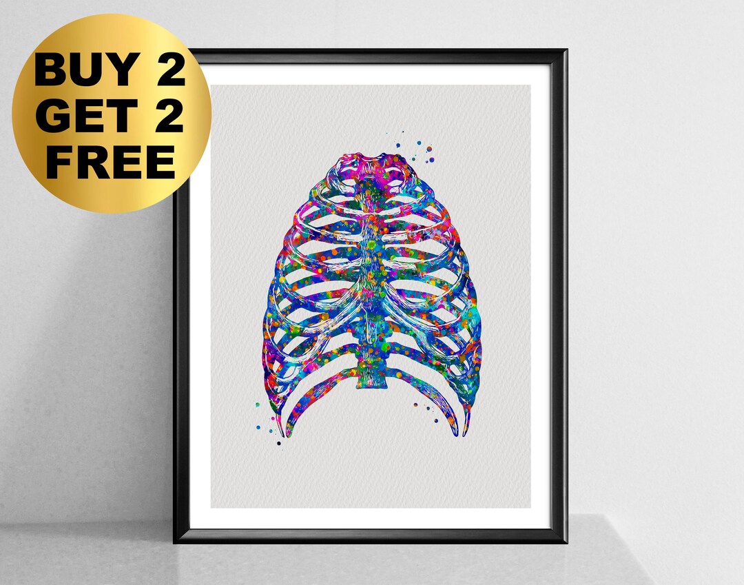 Thorax Watercolor Art Rib Cage Poster Medical Art Skeletal Bones Art ...