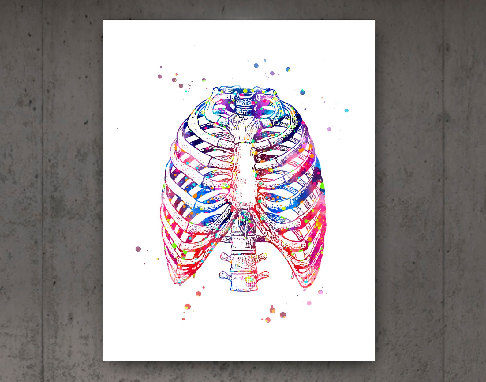 Skeleton Anatomy Poster Set of 6 Medical Art Watercolor Skull Thorax ...