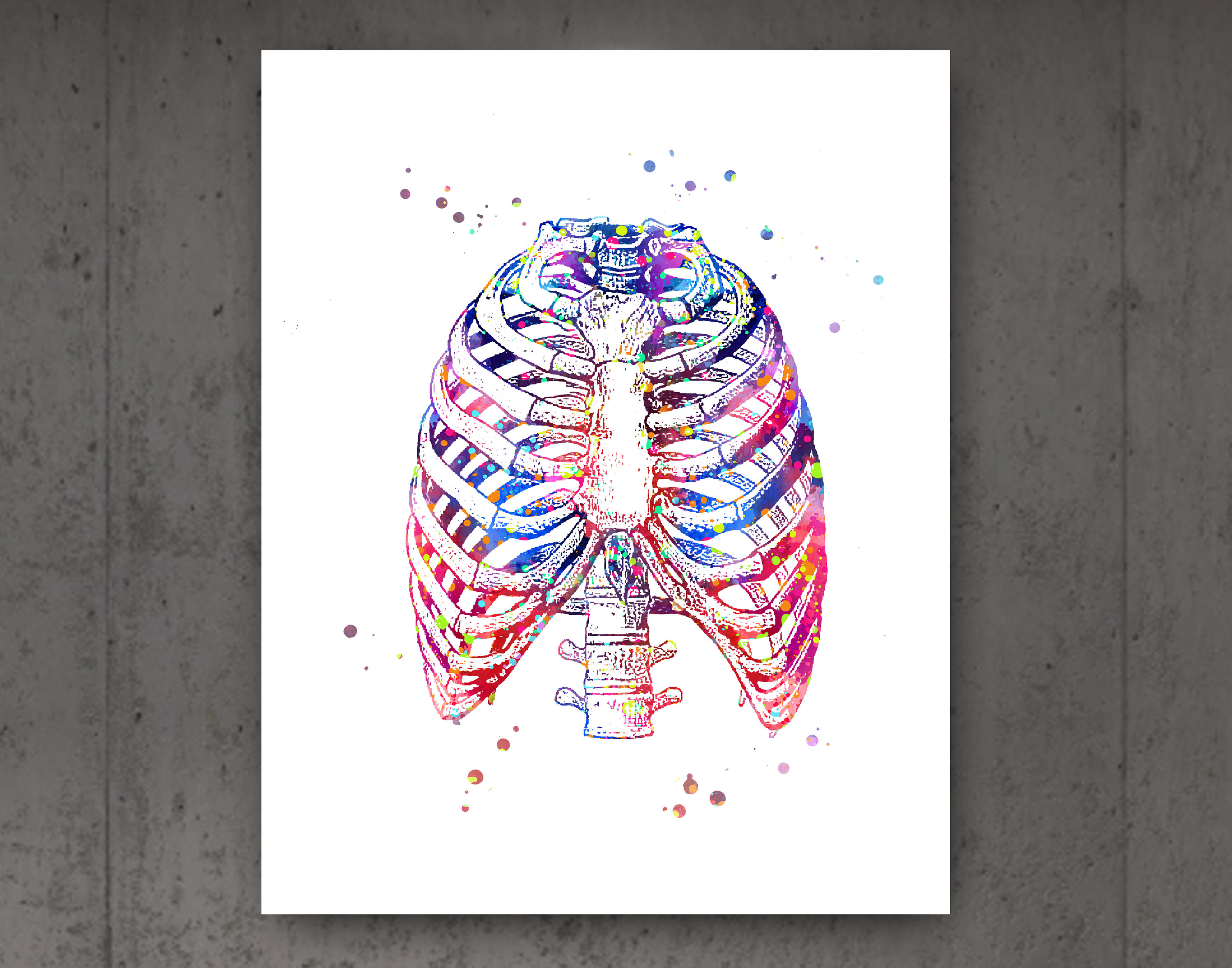 Skeleton Anatomy Print Set 8 Skeletal Bones Watercolor Art Skull Rib ...