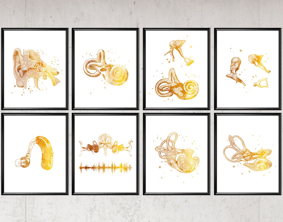 8 Binaural Hearing Posters Auditory System Structure Human Ear Anatomy ...