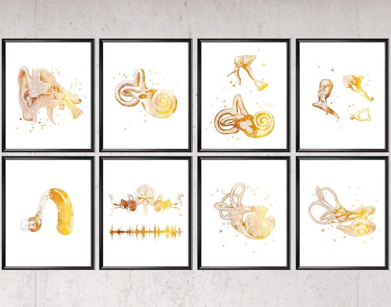 8 Binaural Hearing Posters Auditory System Structure Human Ear Anatomy ...