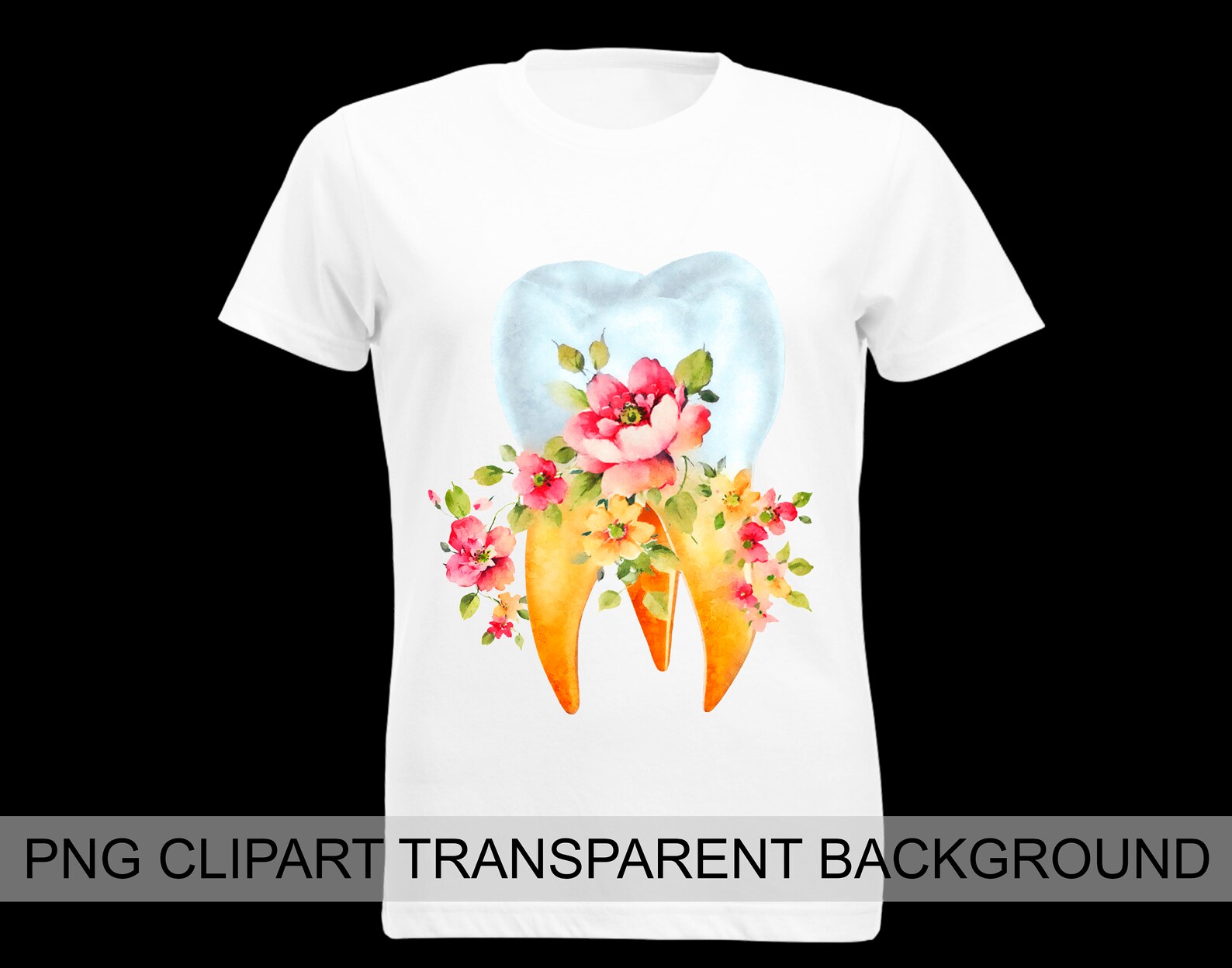 Tooth Clipart Anatomy Clipart Medical Clipart Health Care - Etsy