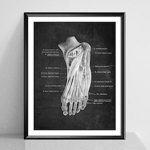 Foot Poster Bones and Muscles Anatomy Chalkboard Art Podiatry Art ...