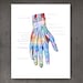 Hand Anatomy Print Set of 6 Wrist Muscles and Ligaments Print ...