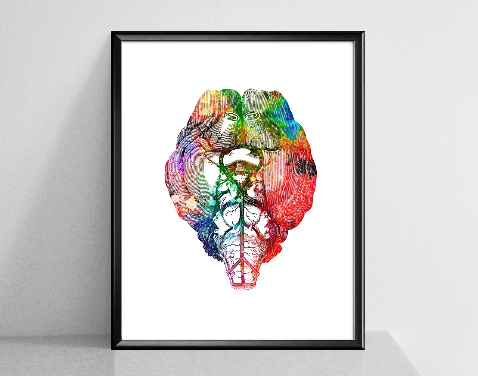 Neurology Watercolor Art Brain Structure Poster Brain Biology - Etsy
