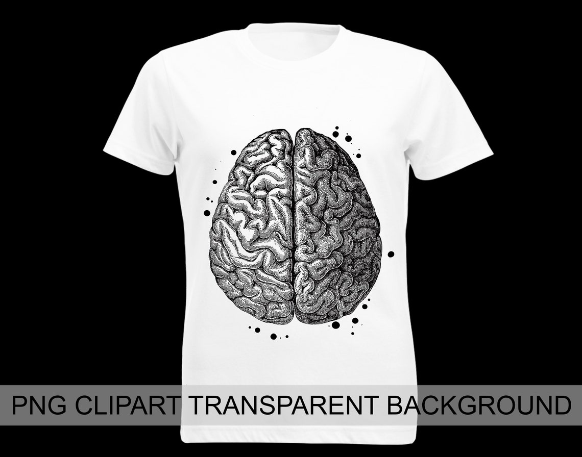 Human Brain Clipart Anatomy Clipart Science Clipart Medical - Etsy