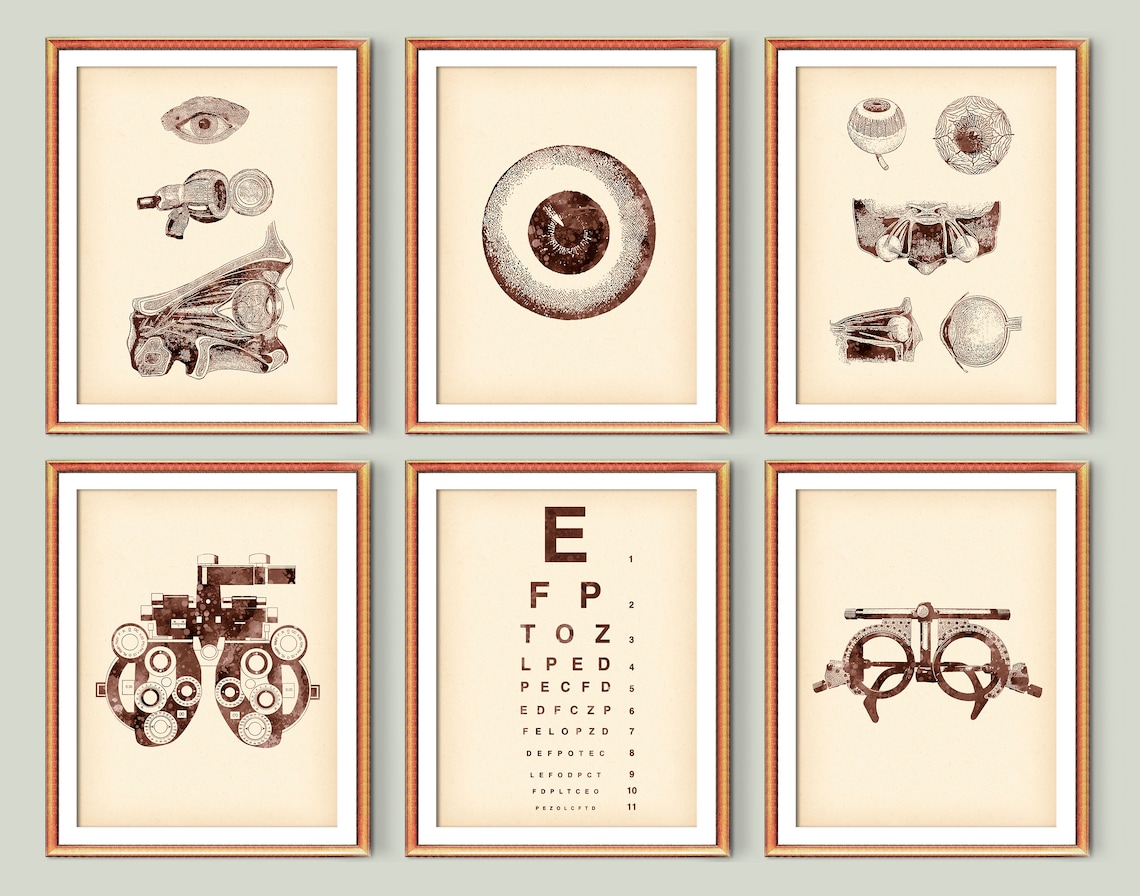6 Optometrist Gift Doctor Gift Vintage Medical Art Human Eye - Etsy