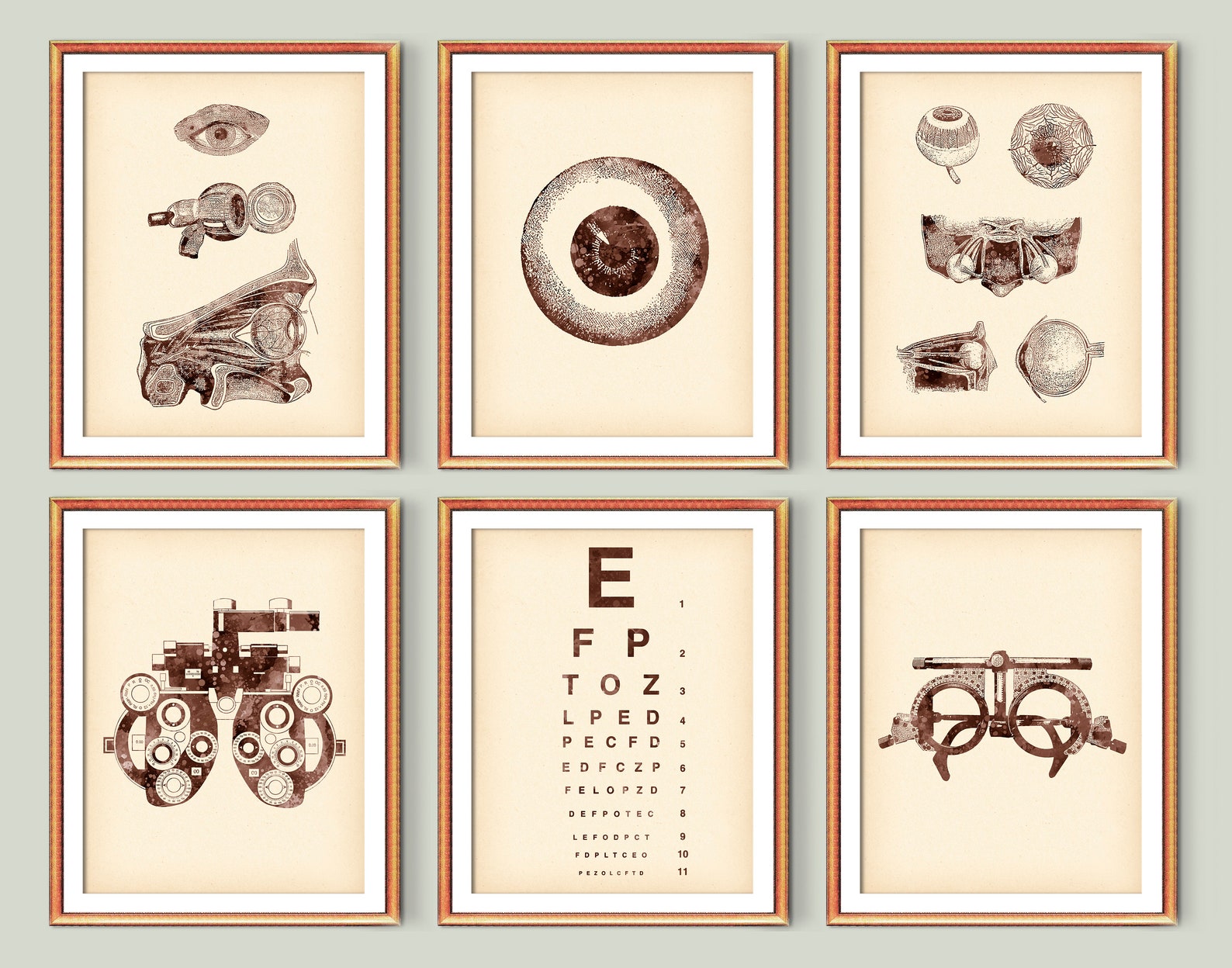 6 Optometrist Gift Doctor Gift Vintage Medical Art Human Eye - Etsy
