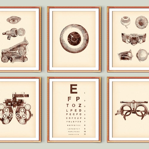 Optometrist Office Decor Eye Anatomy Art Ophthalmology - Etsy