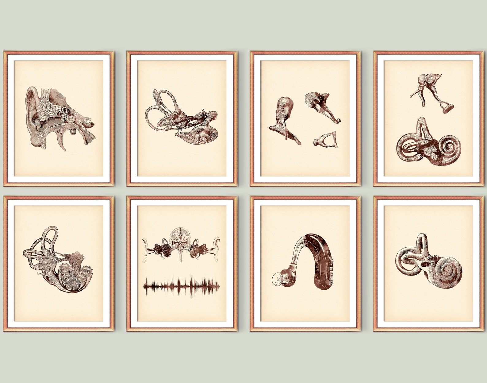 8 Audiology Art Prints, Anatomical Inner Ear Vintage Poster, Hearing ...