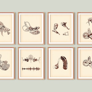 8 Audiology Art Prints Anatomical Inner Ear Vintage Poster - Etsy