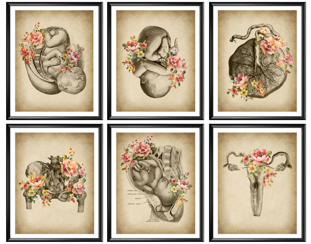 Vintage Childbirth Art Set of 6, Obgyn Artwork, Midwife Gift, Woman ...