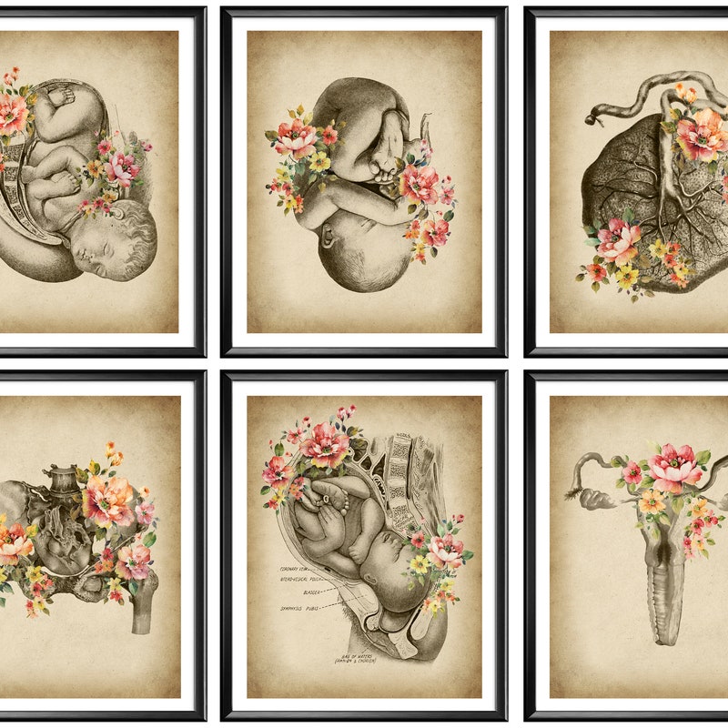 Fetus Art - Etsy