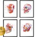 Internal Organs Human Anatomy Art Posters Anatomical Heart Lungs Kidney ...