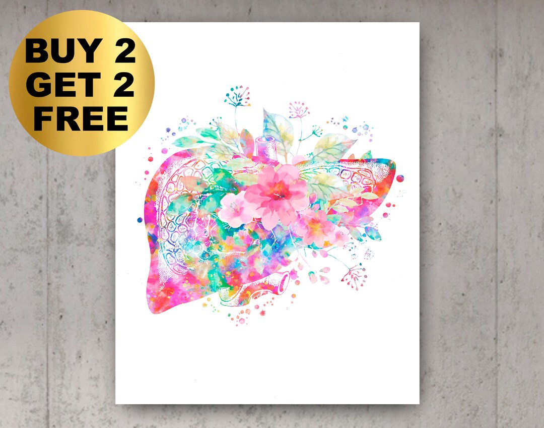 Watercolor Anatomical Liver Art Anatomy Poster Hepatologist - Etsy