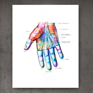 Hand Anatomy Print Set of 6 Wrist Muscles and Ligaments Print ...