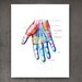 Hand Anatomy Print Set of 6 Wrist Muscles and Ligaments Print ...
