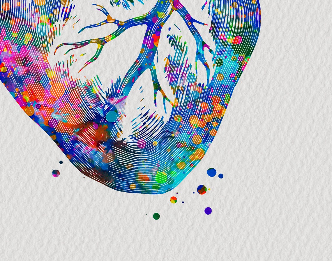 Heart Anatomy Art Watercolor Heart Medical Art Cardiologist - Etsy