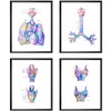 Ear Anatomy Poster Set of 12 External Middle Inner Ear Structure ...