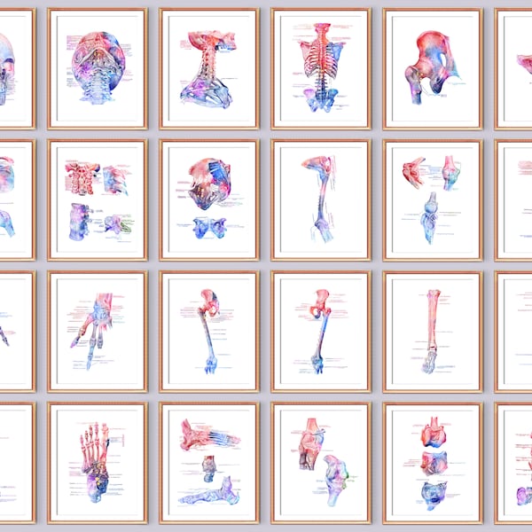 Orthopedic Poster - Etsy UK