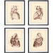 Cardiologist Decor, Antique Anatomical Heart, Vintage Heart Anatomy ...