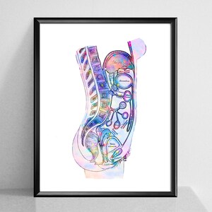 Abdomen Organs Anatomy Poster Internal Organs Art Watercolor Anatomy ...