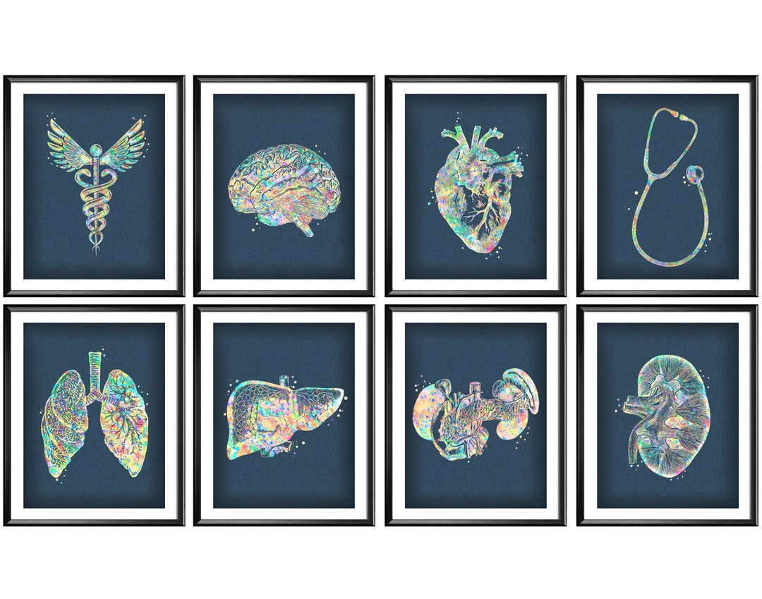 8 Anatomy Artwork Medical Art Human Physiology Art Anatomical Heart ...