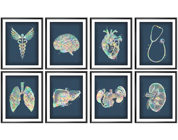 8 Anatomy Artwork Medical Art Human Physiology Art Anatomical - Etsy