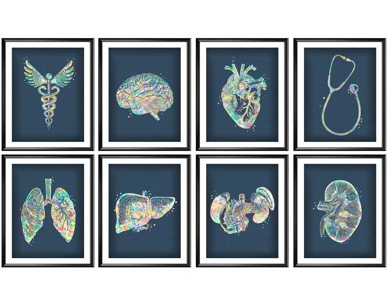 8 Anatomy Artwork Medical Art Human Physiology Art Anatomical - Etsy