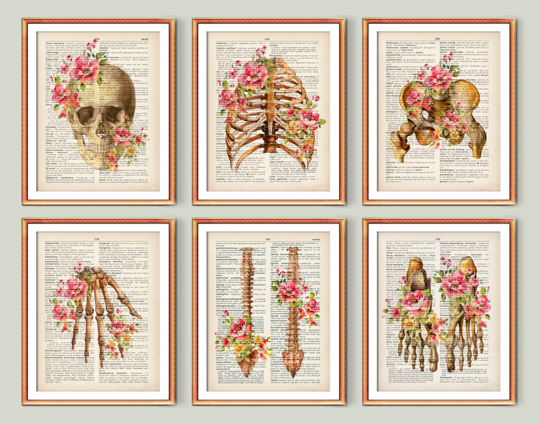 6 Skeleton Art Dictionary Artwork Medical Decor Skeletal Bones Skull ...