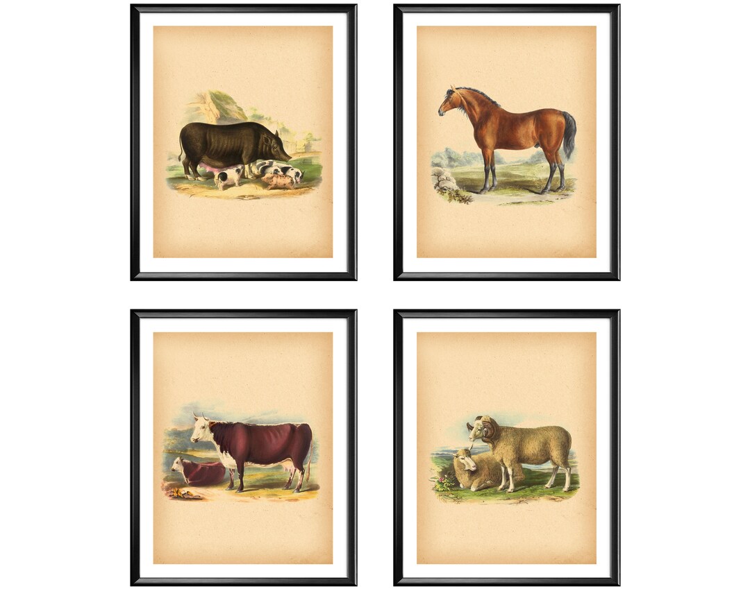 Vintage Farm Animals Poster, Farmhouse Decor, Country Art, Animals ...