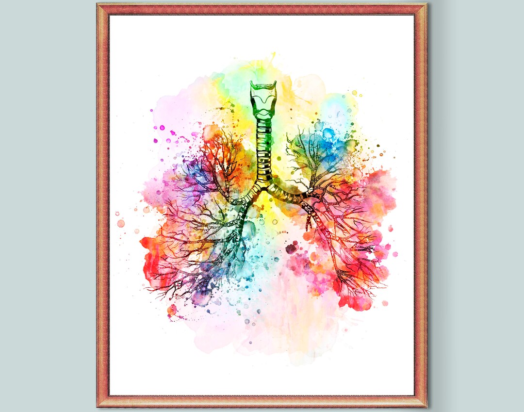 Watercolor Anatomy Art, Bronchial Tree, Anatomical Lungs, Respiratory ...