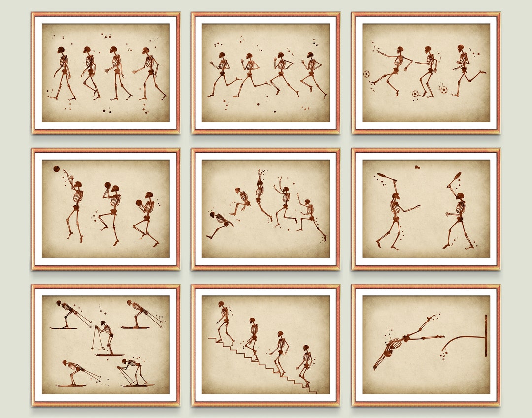 9 Phases of Human Locomotion, Biomechanical Diagram, Moving Skeletons ...