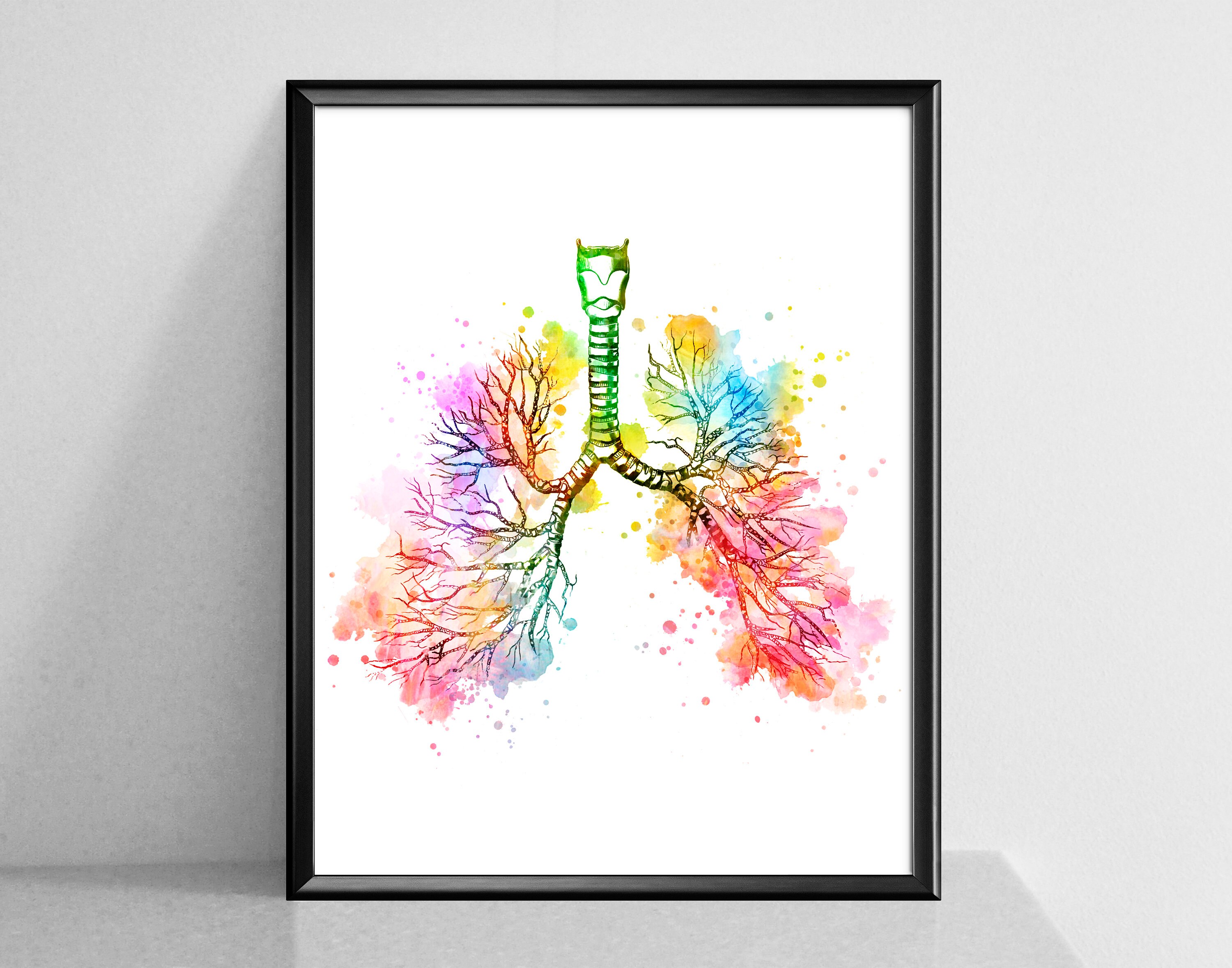Human Bronchi Art Trachea Lungs Bronchial Tree Watercolor - Etsy