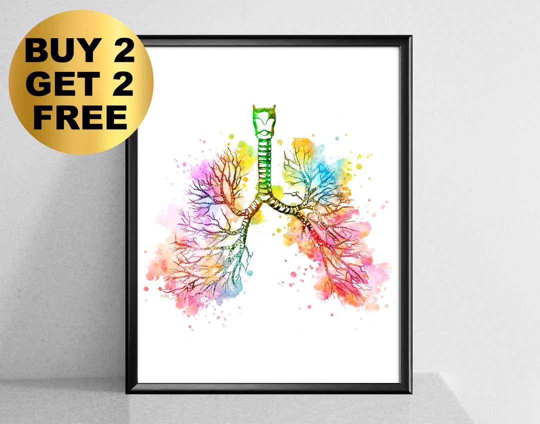 Human Bronchi Art, Trachea, Lungs, Bronchial Tree, Watercolor Anatomy ...