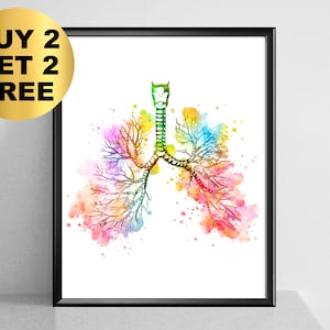 Human Bronchi Art, Trachea, Lungs, Bronchial Tree, Watercolor Anatomy ...
