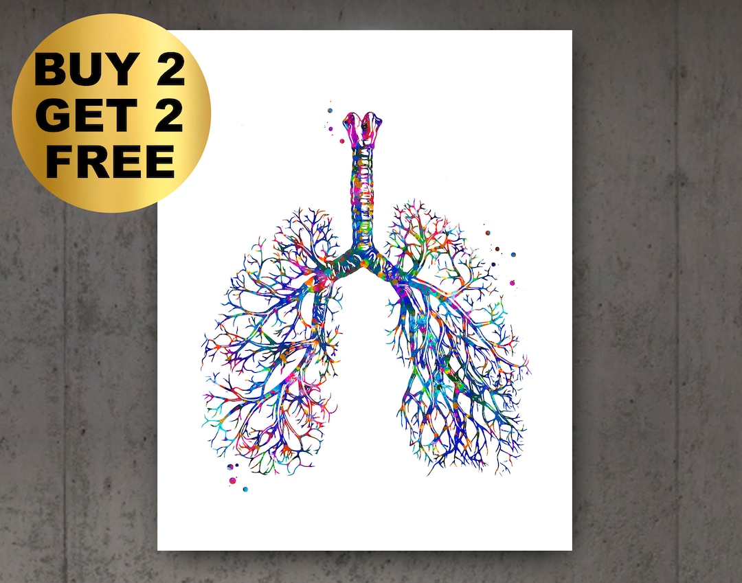 Bronchial Tree Print Trachea Lungs Anatomy Art Medical Poster ...