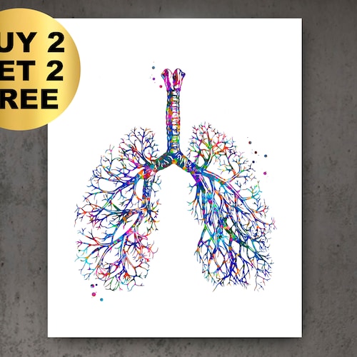 Bronchial Tree Print Trachea Lungs Anatomy Art Medical Poster - Etsy