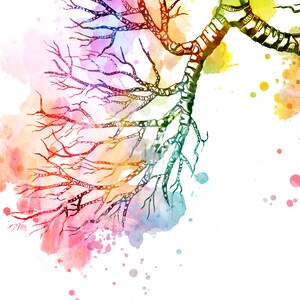 Human Bronchi Art, Trachea, Lungs, Bronchial Tree, Watercolor Anatomy ...