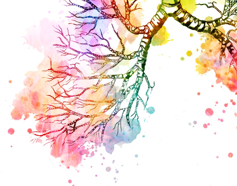Human Bronchi Art Trachea Lungs Bronchial Tree Watercolor - Etsy