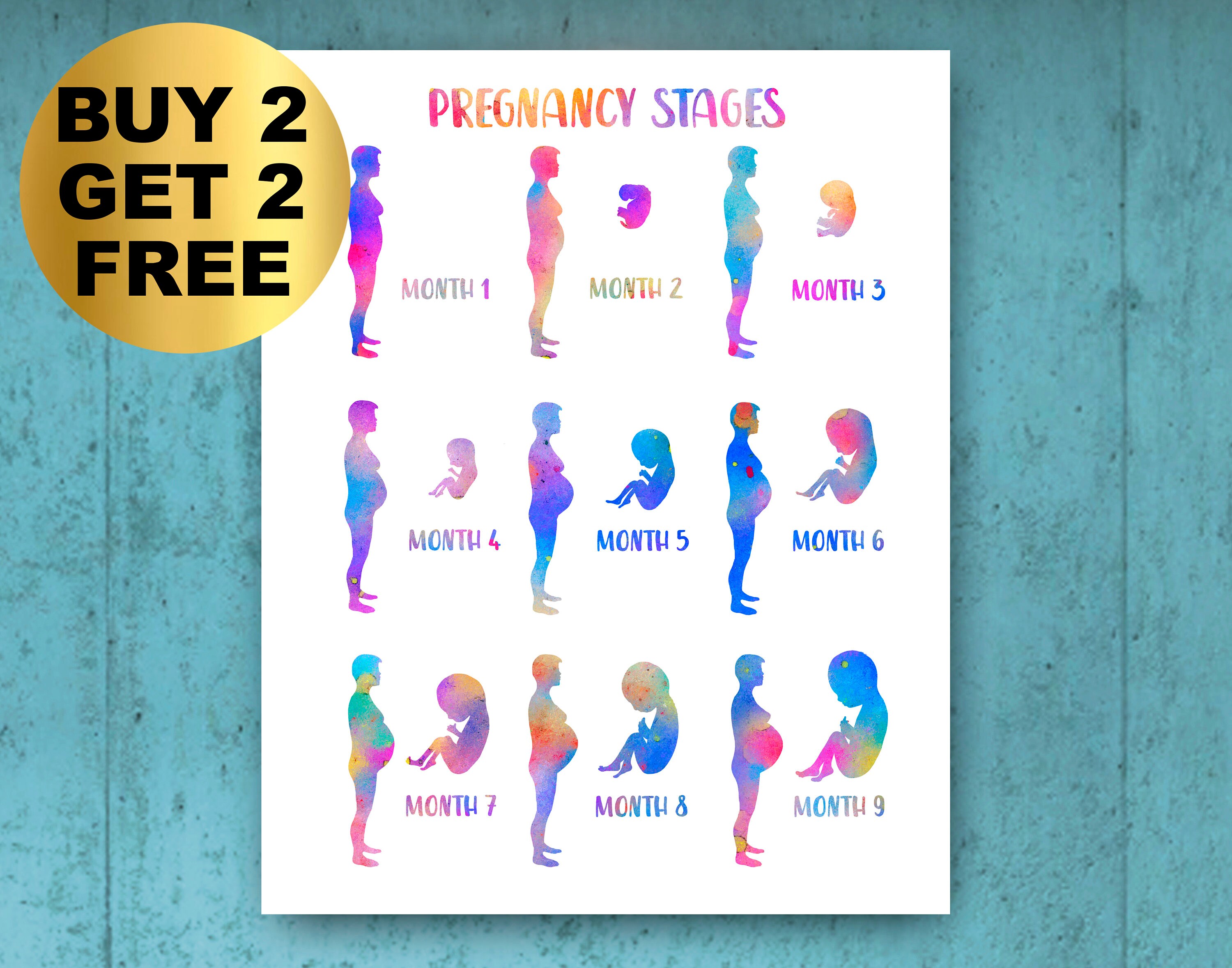 Pregnancy Stages 4 Month
