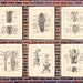 24 Neuroscience Art Posters Neurology Art Neurological System Drawing ...