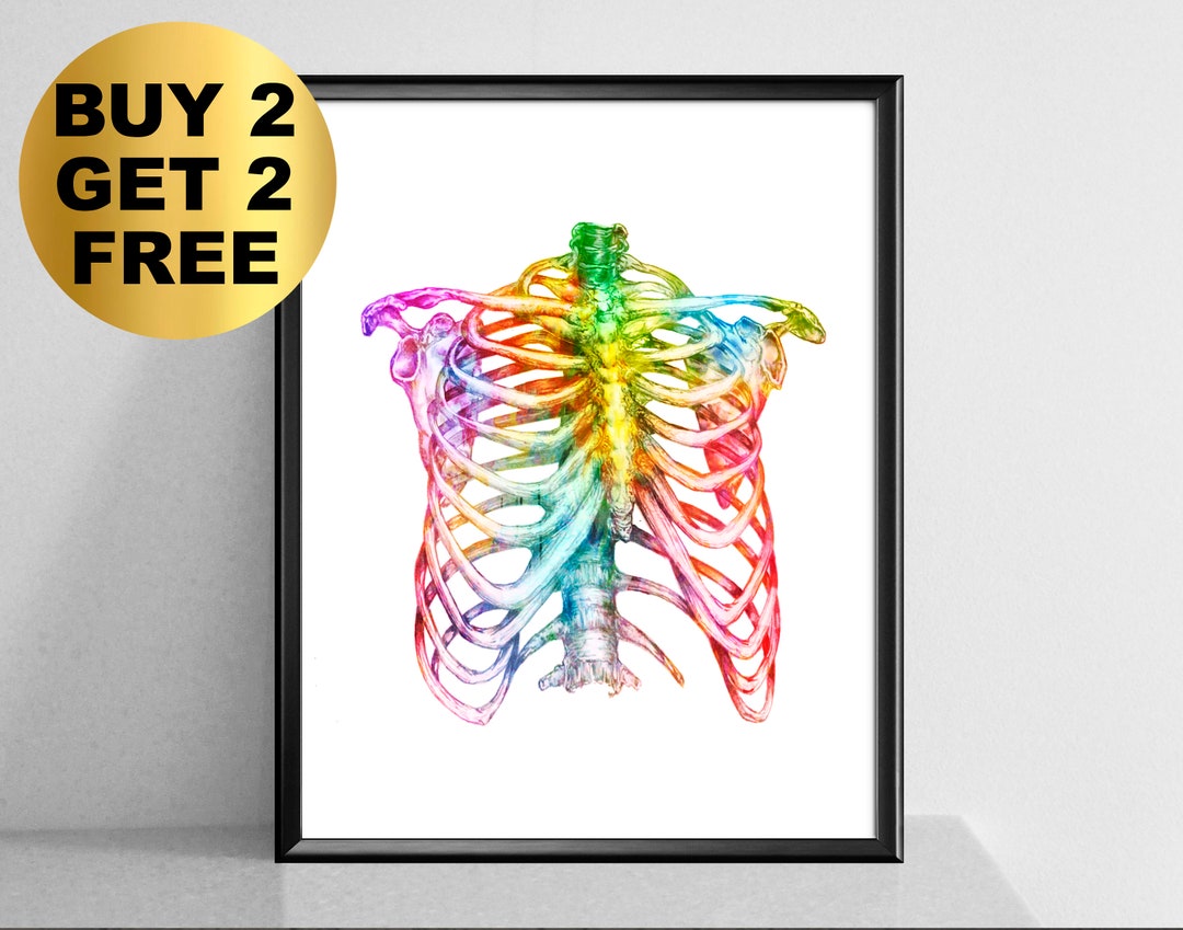 Rib Cage Watercolor Art, Skeleton Anatomy Art, Thorax Wall Decor ...