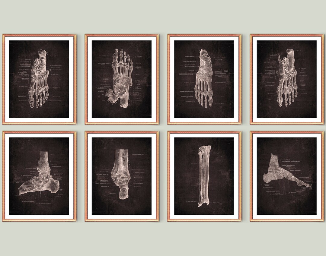 Anatomical Foot Poster Set of 8 Medical Poster Chalkboard Art Foot ...