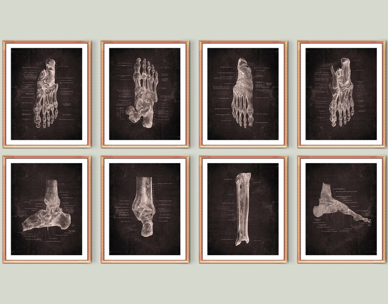 Anatomical Foot Poster Set of 8 Medical Poster Chalkboard Art - Etsy